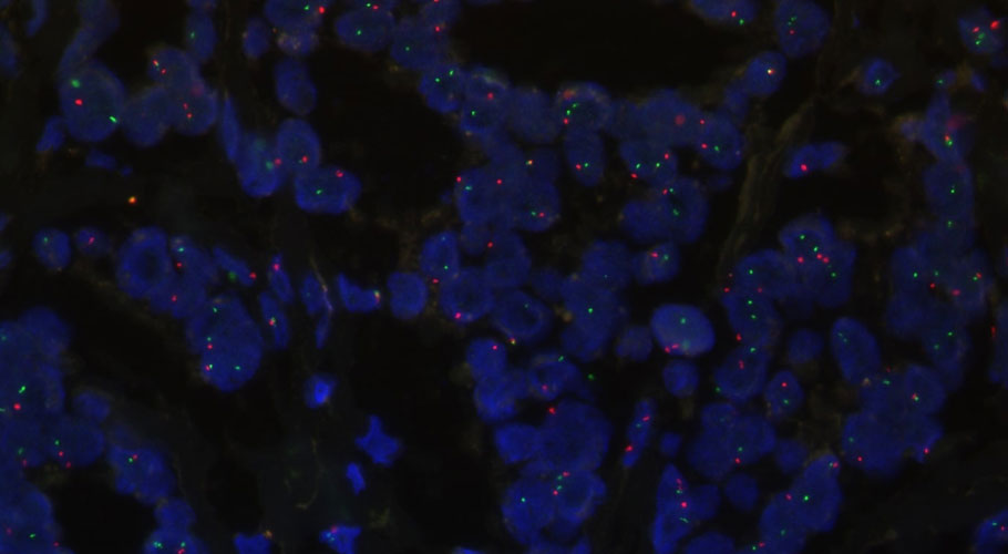 Molecular Pathology - Quality Assurance Program (QAP)